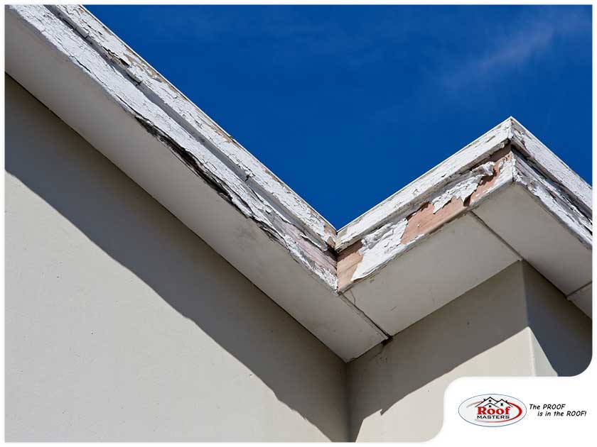 Fascia Rot: What Causes It and How Do You Deal With It?