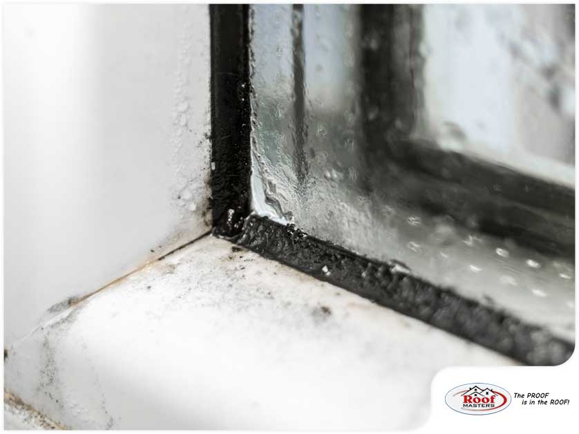What to Look for When Checking for Window Seal Failure
