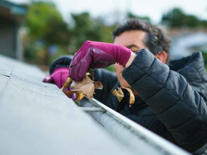 Roofing Maintenance Tips to Start the Year Right