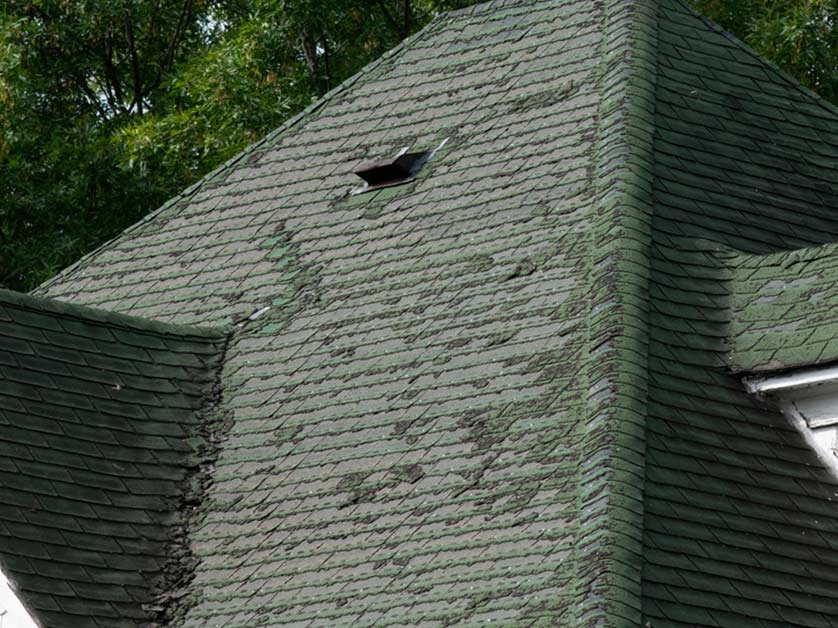 Roof Mold vs. Algae: How Do You Tell Them Apart?