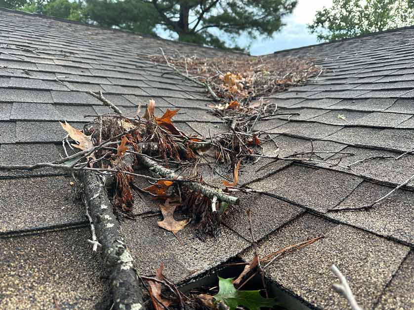 Most Damaging Debris for Roofs